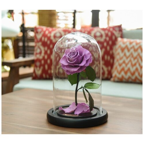 Лиловая роза в колбе "люкс" с подарочной коробкой/32 см