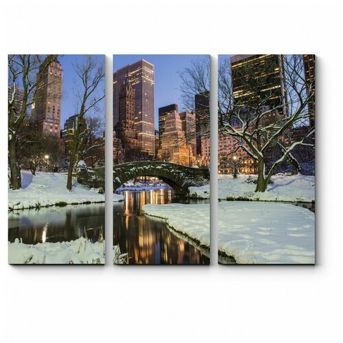 Модульная картина Зимний вид Центрального Парка60x43