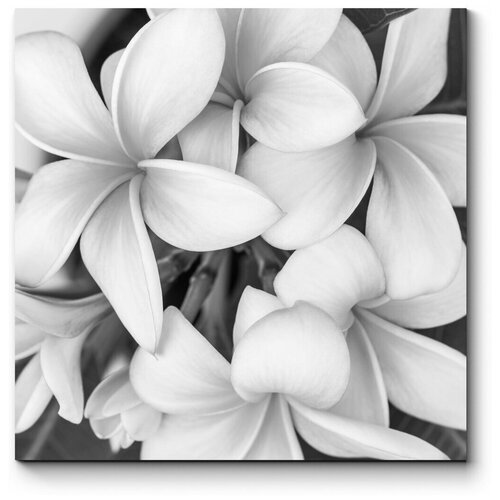 Модульная картина Аромат белых цветов 20x20