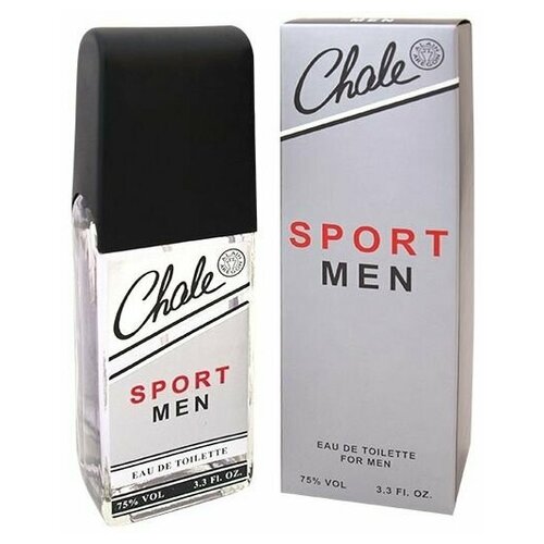 ALAIN AREGON (Positive parfum) Туалетная вода мужская CHALE SPORT MEN