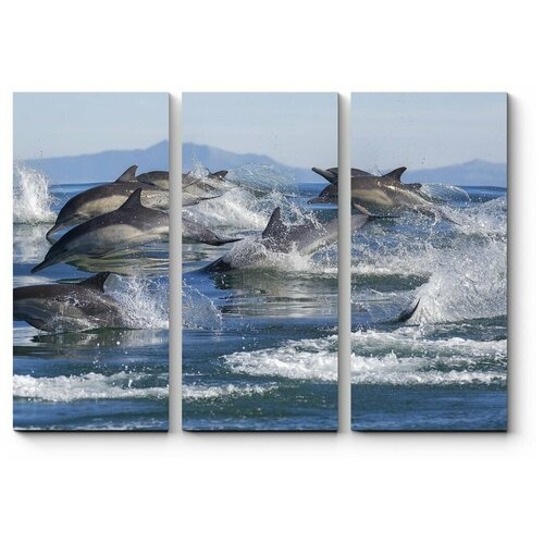 Модульная картина Семья дельфинов110x79