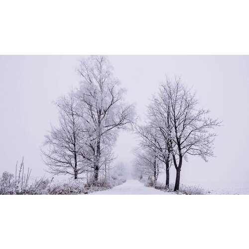 Картина на холсте 60x110 LinxOne "Зима Природа Туман Дорога" интерьерная для дома / на стену / на кухню / с подрамником