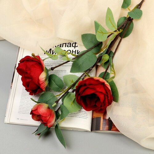 Цветы искусственные Роза пионовидная галант 7х61 см, красный