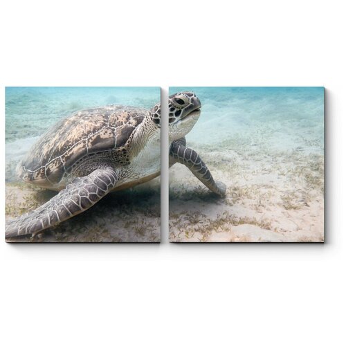 Модульная картина Чарующая подводная черепаха 110x55