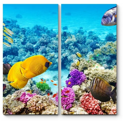 Модульная картина Коралловый риф 50x50
