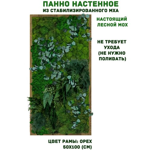 Панно из стабилизированно мха GardenGo в рамке цвета орех, 50х100 см, цвет мха зеленый