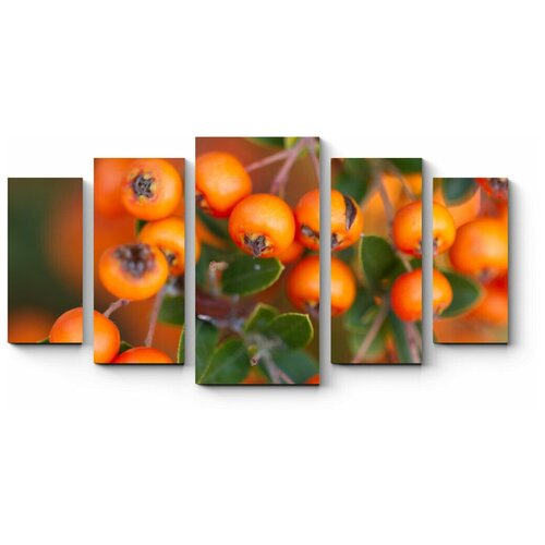Модульная картина Спелые ягоды рябины 170x94