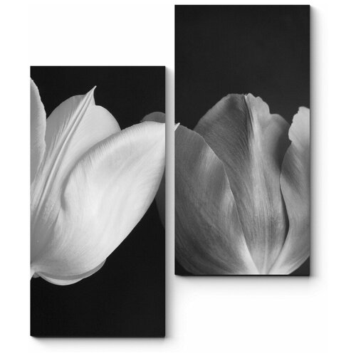 Модульная картина Монохромные тюльпаны 70x88