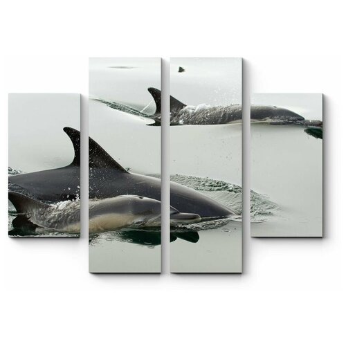 Модульная картина Счастливая семья дельфинов120x90