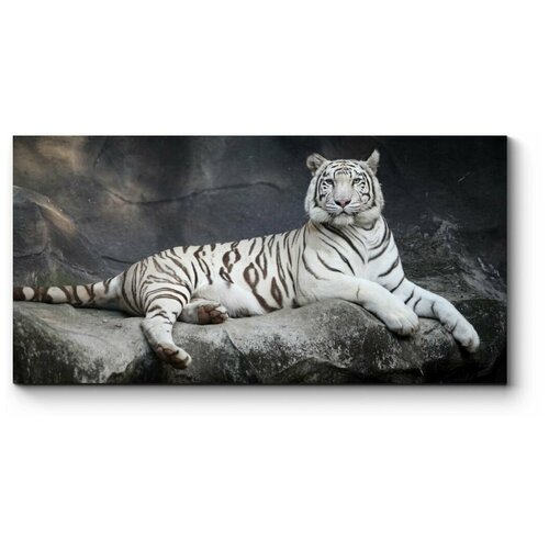 Модульная картина Величественный белый тигр 40x20