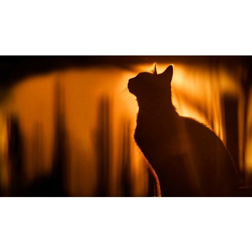 Картина на холсте 60x110 LinxOne "Солнечный свет кот силуэт" интерьерная для дома / на стену / на кухню / с подрамником