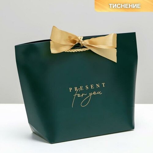Пакет подарочный Present for you, 19 х 20 х 9 см
