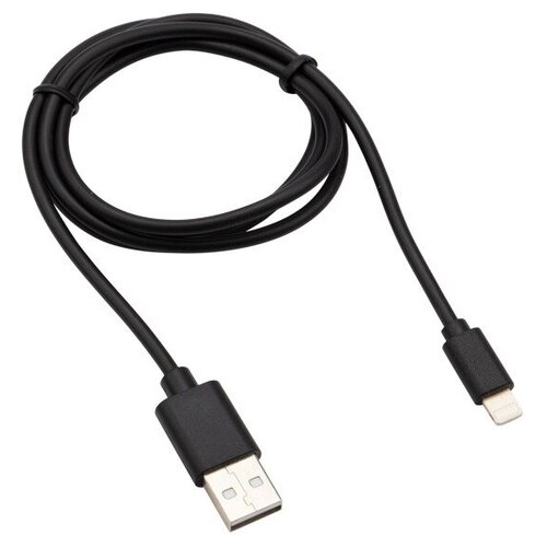 Кабель USB-Lightning 1 м 2 A черный ПВХ REXANT, 1шт