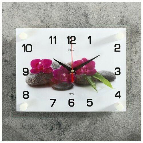 Часы настенные, серия: Цветы, "Цветки на камнях", плавный ход, 20 х 26 см