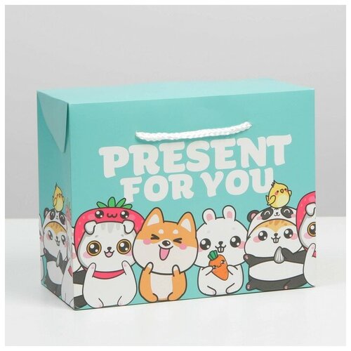 Пакет — коробка «Present», 23 × 18 × 11 см