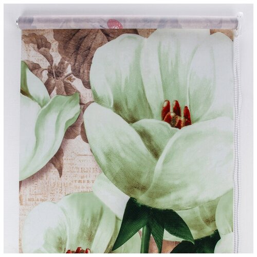 Штора рулонная 3D принт «Тюльпаны белые», 60×200 см (с учётом креплений 3,5 см)