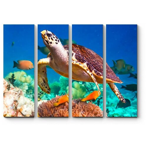 Модульная картина Черепаха в коралловом рифе150x113