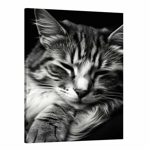Интерьерная картина 50х70 "Мурлыкающий кот"