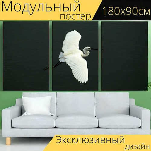 Модульный постер "Маленький, цапля, птица" 180 x 90 см. для интерьера