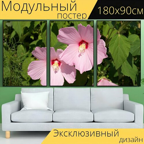 Модульный постер "Цветок, розовый, гибискус" 180 x 90 см. для интерьера