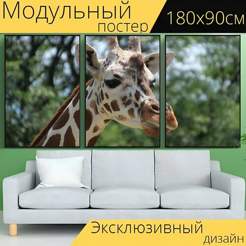 Модульный постер "Жирафа, животное, зоопарк" 180 x 90 см. для интерьера