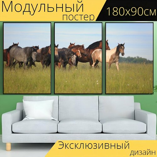 Модульный постер "Лошади, трава, лошадь" 180 x 90 см. для интерьера
