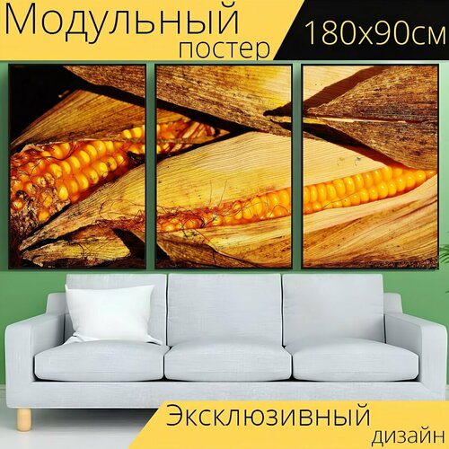 Модульный постер "Кукуруза, овощи, еда" 180 x 90 см. для интерьера
