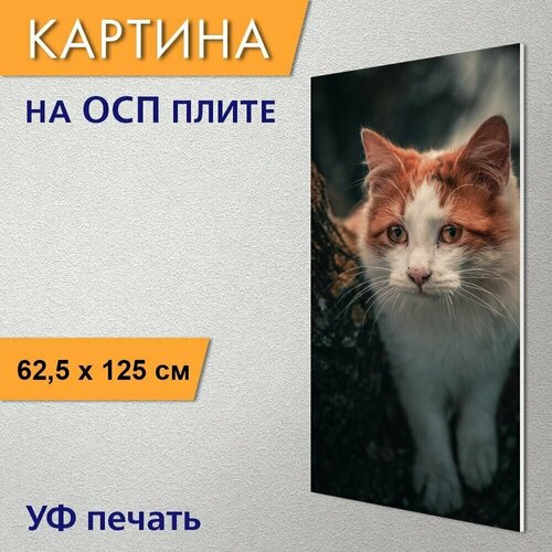 Вертикальная картина на ОСП "Кошка, животное, домашний питомец" 62x125 см. для интерьериа
