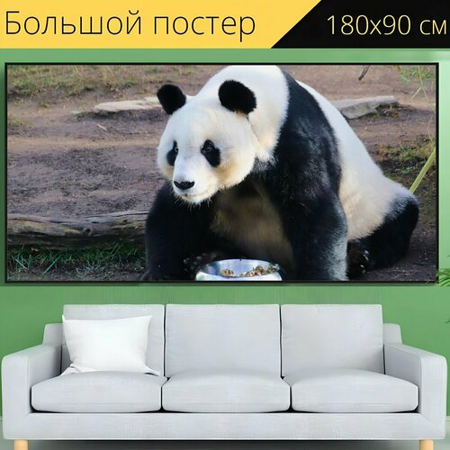 Большой постер "Панда, сидя, нести" 180 x 90 см. для интерьера
