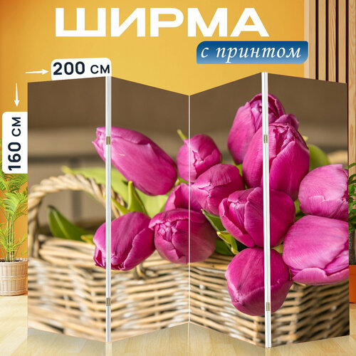 Ширма перегородка с принтом "Тюльпаны, цветы, корзина" на холсте - 200x160 см. для зонирования, раскладная