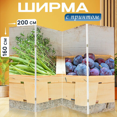 Ширма перегородка с принтом "Корзина с фруктами, фрукты и овощи, сливы" на холсте - 200x160 см. для зонирования, раскладная