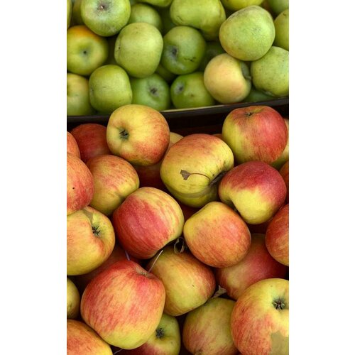 Картина на холсте 60x110 LinxOne "Яблоки, фрукты кухня" интерьерная для дома / на стену / на кухню / с подрамником