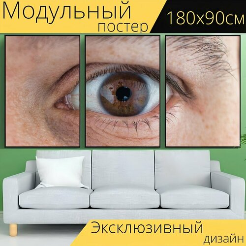 Модульный постер "Глаз, коричневый, глаза" 180 x 90 см. для интерьера