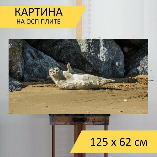 Картина на ОСП 125х62 см. "Тюлень щенок, пляж, северное море" горизонтальная, для интерьера, с креплениями