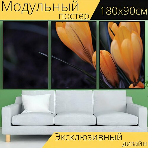 Модульный постер "Крокус, цветок, весна" 180 x 90 см. для интерьера
