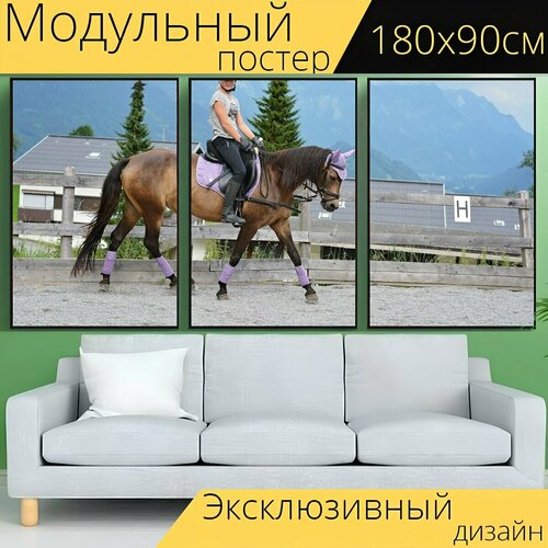 Модульный постер "Верховая езда, лошадь, девочка" 180 x 90 см. для интерьера