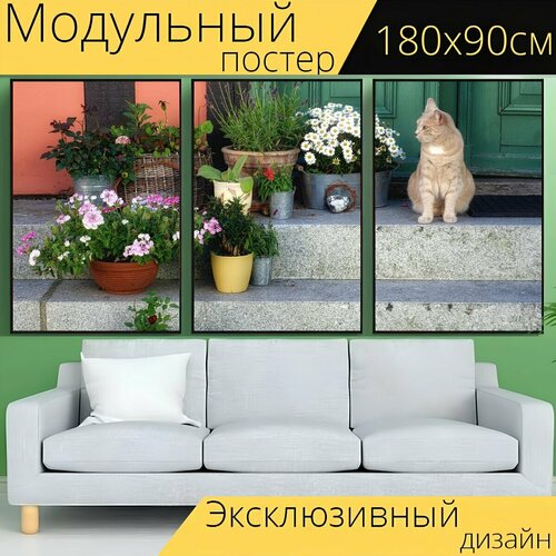 Модульный постер "Кот, дом, вход" 180 x 90 см. для интерьера