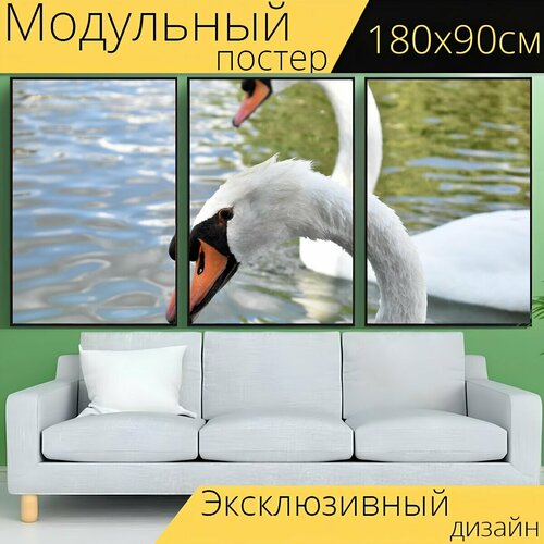 Модульный постер "Лебедь, белый лебедь, птица" 180 x 90 см. для интерьера