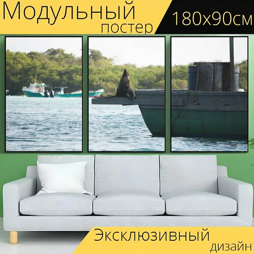 Модульный постер "Морской лев, лодка, море" 180 x 90 см. для интерьера