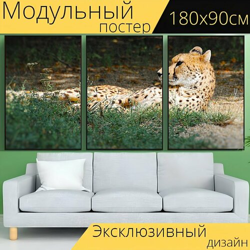 Модульный постер "Гепард, врущий, большой кот" 180 x 90 см. для интерьера