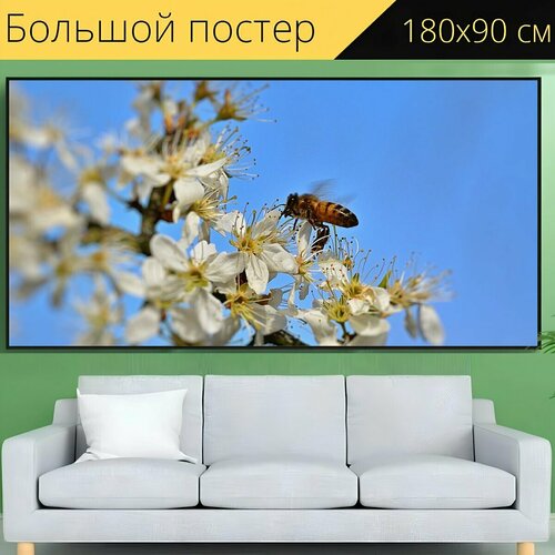 Большой постер "Природа, пчела, расцветает" 180 x 90 см. для интерьера