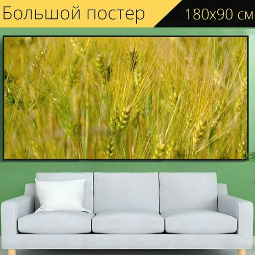 Большой постер "Зерно, природа, сельское хозяйство" 180 x 90 см. для интерьера