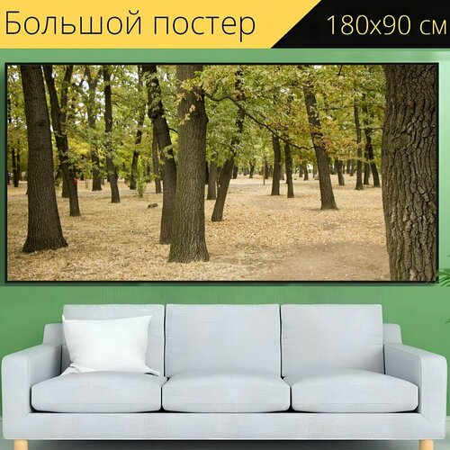 Большой постер "Парк, деревья, лес" 180 x 90 см. для интерьера
