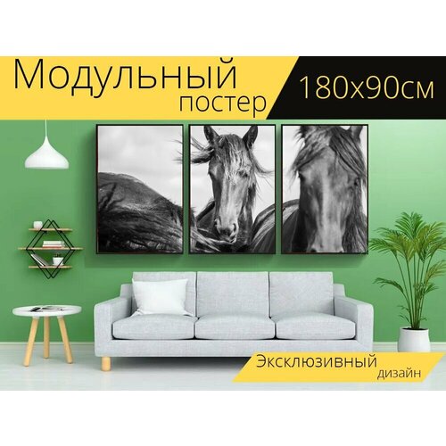 Модульный постер "Лошадь, лошадиная голова, фризская лошадь" 180 x 90 см. для интерьера