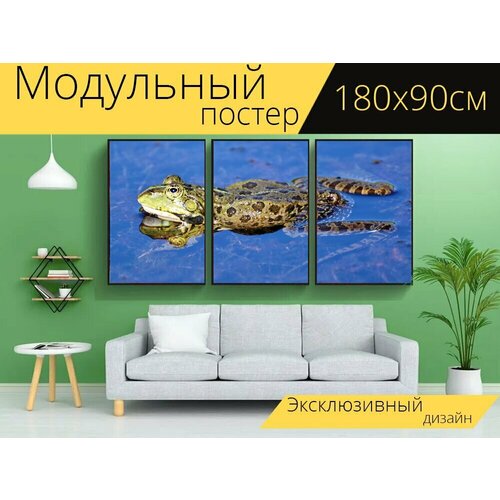 Модульный постер "Лягушка, жаба, водная жизнь" 180 x 90 см. для интерьера