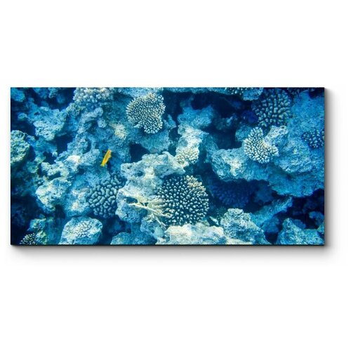 Модульная картина Коралловые рифы 150x75