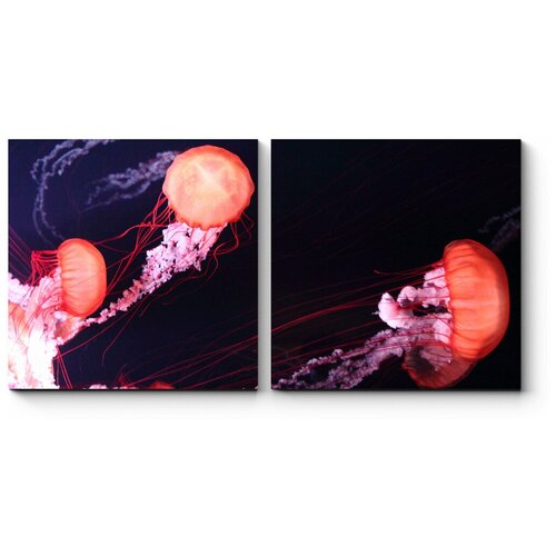 Модульная картина Танец медуз 70x35
