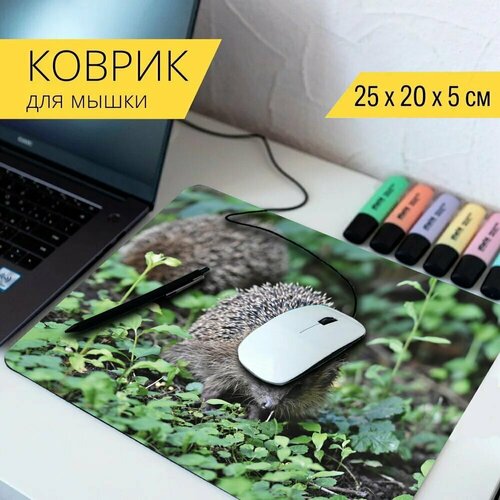 Коврик для мыши с принтом "Ежик, шпора, ханна" 25x20см.