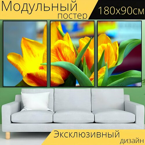 Модульный постер "Цветы, тюльпаны, цвести" 180 x 90 см. для интерьера