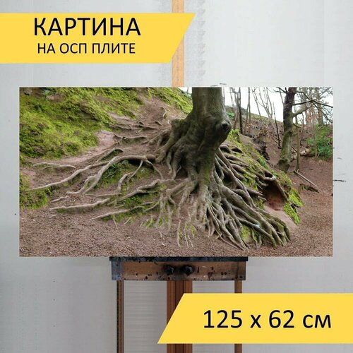 Картина на ОСП 125х62 см. "Дерево, корнеплоды, древесина" горизонтальная, для интерьера, с креплениями